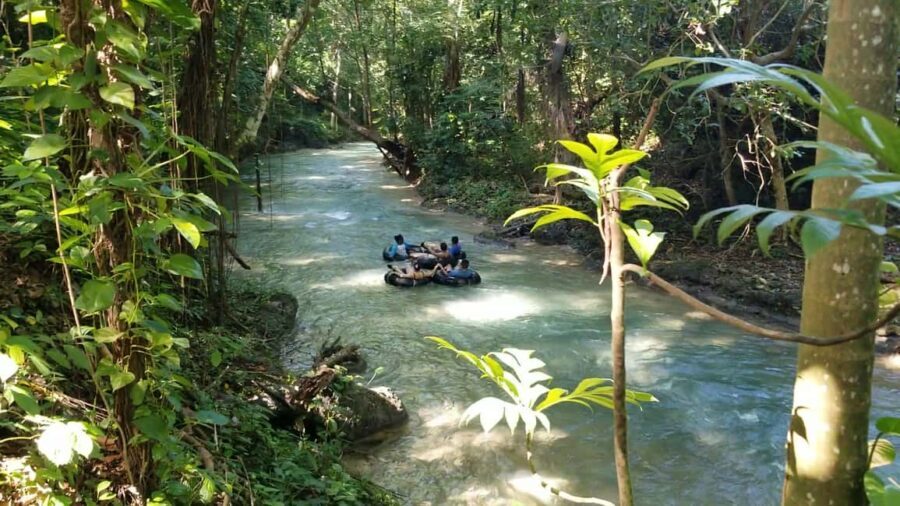 Jamaica's Dunn's River Falls & River Tubing Tour - An In-Depth Look at the Tour Experience