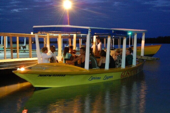 Jamaica's Luminous Lagoon Night Tour - The Sum Up