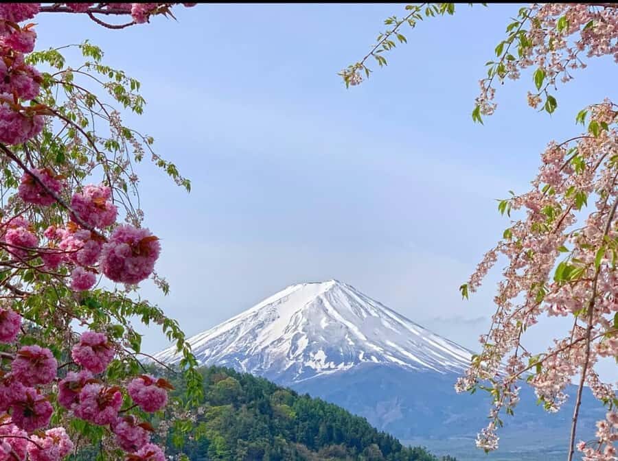 Japan: 4-Day Mt.Fuji, Hakone, Nikko & Snow Monkey Highlights - Exploring Mt. Fuji and Hakone