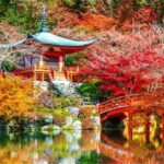 Japan: 7-Day Private Tour with Driver and Guide - The Sum Up