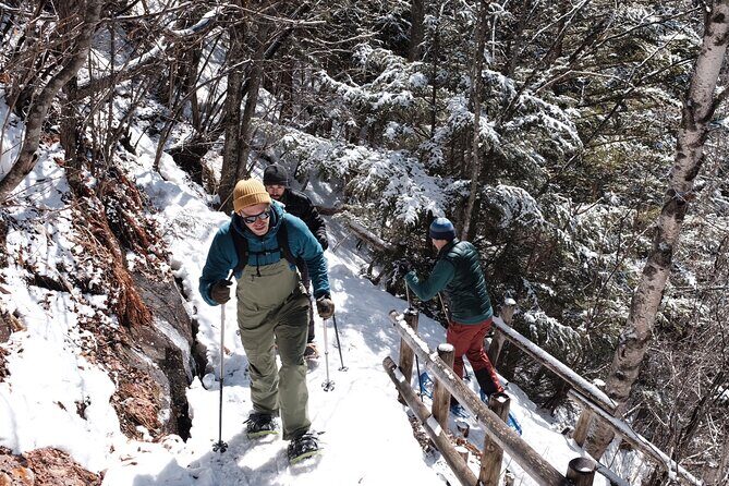 Japan Alps Norikura Frozen Water Fall Snowshoe Trekking Tour - The Sum Up