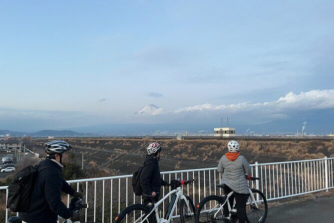 Japan Culture E-Bike Tour with Mt. Fuji View from Shimizu port - Final Thoughts