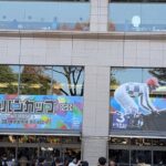 Japanese horseracing private tour with a local expert! - The Experience from Real Reviews