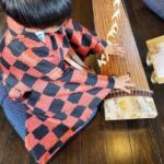 Japanese Traditional Music Experience - FAQ