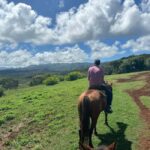 Jarabacoa: Private Baiguate Waterfall Horseback Riding Tour - What to Expect at Baiguate Waterfall