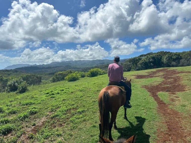 Jarabacoa: Private Baiguate Waterfall Horseback Riding Tour - What to Expect at Baiguate Waterfall
