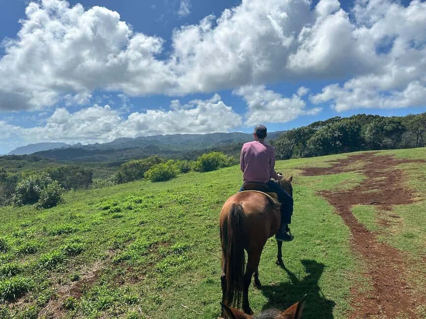 Jarabacoa: Private Baiguate Waterfall Horseback Riding Tour - What to Expect at Baiguate Waterfall
