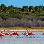 Jaragua National Park: Explore Laguna de Oviedo - Practical Details and Value