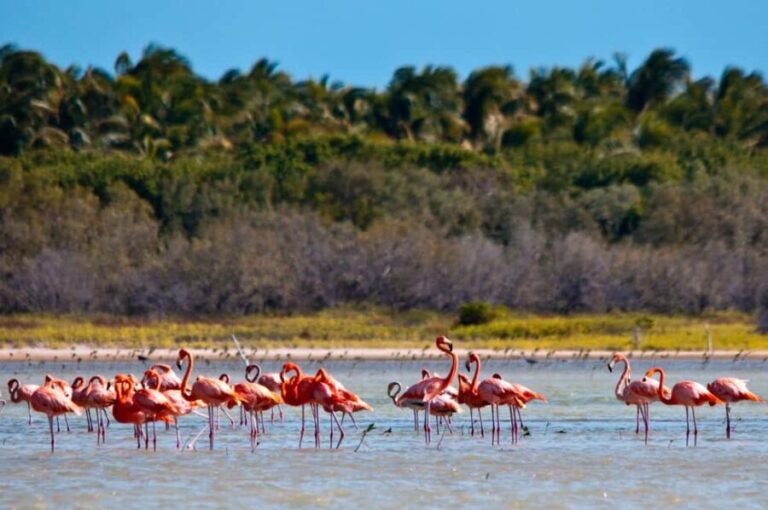 Jaragua National Park: Explore Laguna de Oviedo - Practical Details and Value