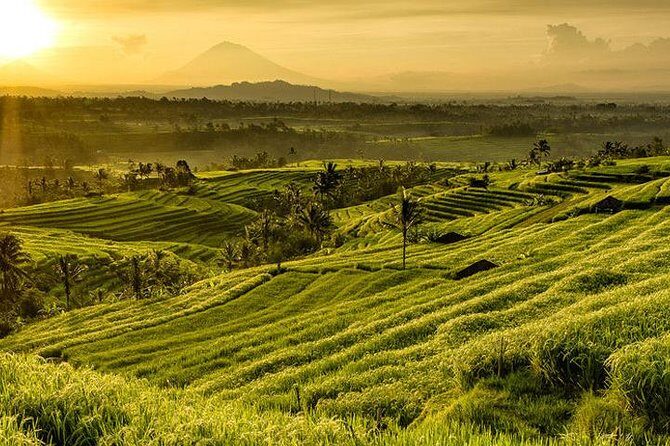 Jatiluwih Rice Terrace & Tanah Lot Tours - A Detailed Look at the Tour
