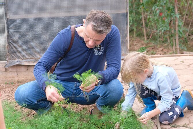 Jeep Experience Pure Vietnamese Agriculture Tour - What’s Included and What to Keep in Mind