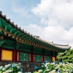 Jeju East Hydrangea Tour with UNESCO site - Who is this tour best suited for?