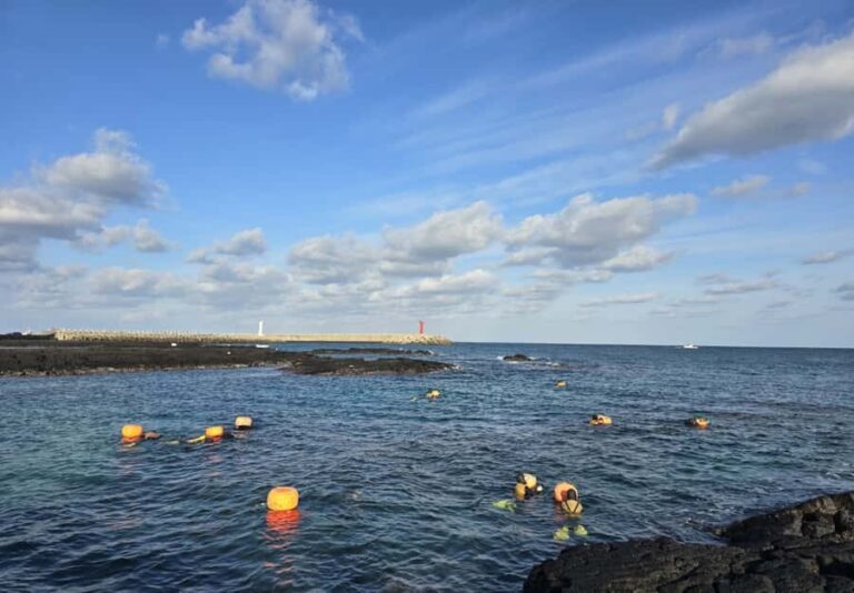 Jeju: Haenyeo Culture Experience with Seafood Tasting - Analyzing the Value