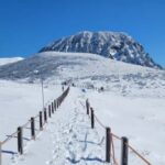 Jeju: HALLASAN National Park Guided Snow Climb (5hr_w/Gear) - Key Points