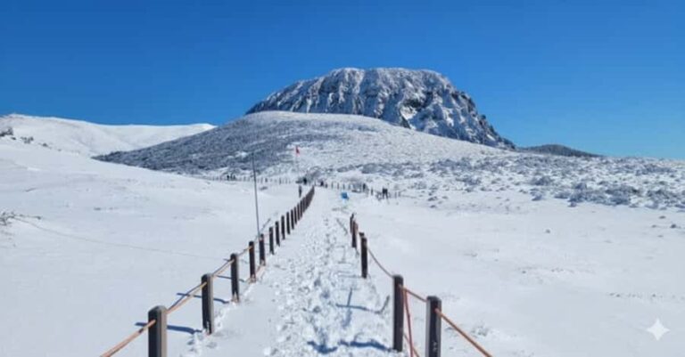 Jeju: HALLASAN National Park Guided Snow Climb (5hr_w/Gear) - Key Points