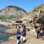 Jeju Island Private Charter Regular Taxi Tour and Free Schedule - What’s Included and What’s Not