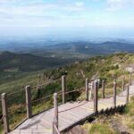 jeju island Private Taxi Hallasan Hiking Trail Transfer - One way - Why Choose a Private Taxi for Hallasan?