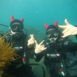 Jeju: Scuba Diving Experience near Seongsan Ilchulbong - The Itinerary in Detail
