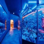 Jeju: Teddy Bear House TESEUM Entry Ticket - Who This Tour Is Best For