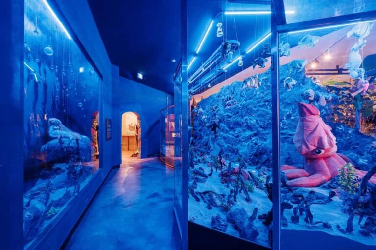 Jeju: Teddy Bear House TESEUM Entry Ticket - Who This Tour Is Best For