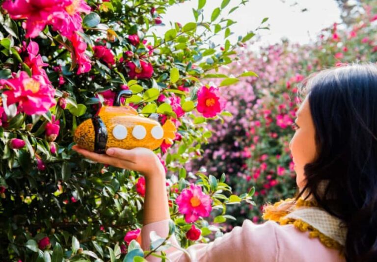 Jeju: UNESCO Heritage Sites Authentic Day Tour(Western) - The Value of This Tour