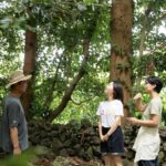 Jeju: UNESCO-Listed Southern Authentic Day Tour - What Makes This Tour Stand Out?