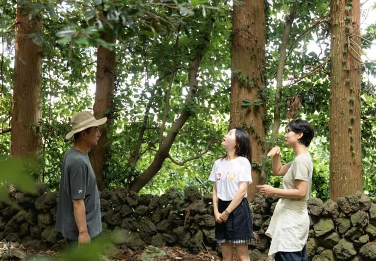 Jeju: UNESCO-Listed Southern Authentic Day Tour - What Makes This Tour Stand Out?