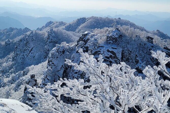 Jeonju Hanok Village and Daedunsan Serenity Nature Tour - Transportation and Group Dynamics