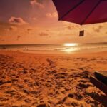 Jimbaran: Exotic Culinary Fish and Seafood Tour - What to Expect from the Market Exploration