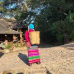 Jingmai Mountain (UNESCO) | Old Tea Forests and Dai Villages - Exploring the Dai Villages