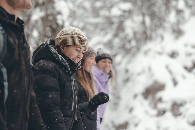 Johnston Canyon: Frozen Falls - Who Will Love This Tour?
