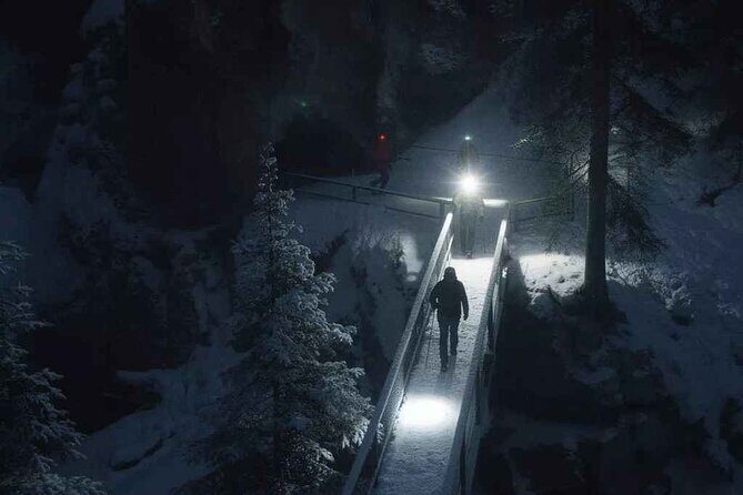 Johnston Canyon Night Walk and Stargazing Experience - Who Is This Tour Best For?