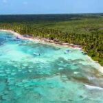 Juan Dolio: Saona Island Day Trip with Catamaran Ride - Detailed Analysis of the Experience and Value