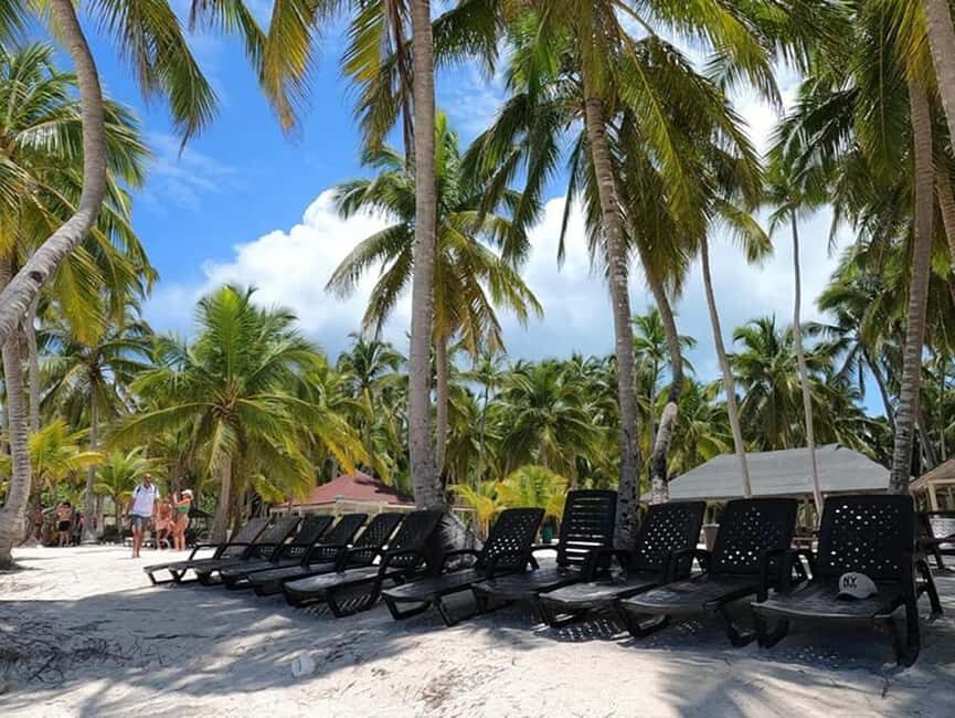 Juan Dolio: Saona Island Day Trip with Lunch & Open Bar - What Does This Tour Really Offer?