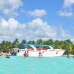 Juan Dolio: Saona Island Full-Day Tour with Catamaran Ride - What To Expect: A Detailed Breakdown