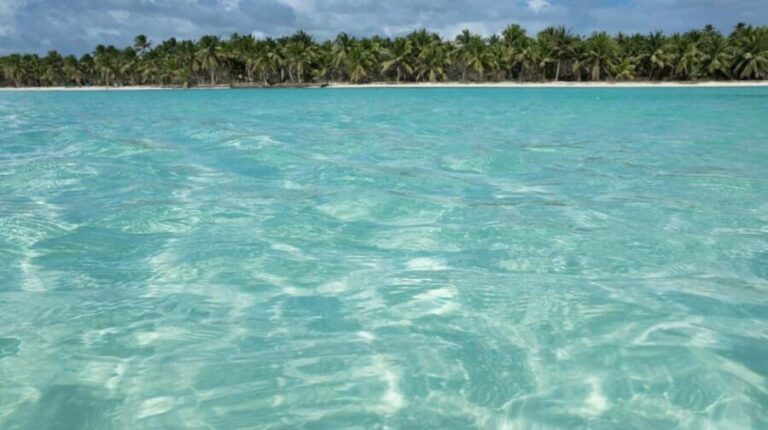 Juan Dolio: Saona Island Full-Day Tour with Lunch & Drinks - The Value for Your Money
