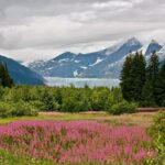 Juneau: Private Bike Tour with Glacier Views & Hatchery Stop - What Makes This Bike Tour Special?