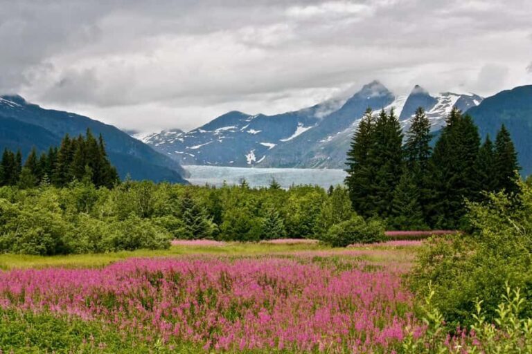 Juneau: Private Bike Tour with Glacier Views & Hatchery Stop - What Makes This Bike Tour Special?