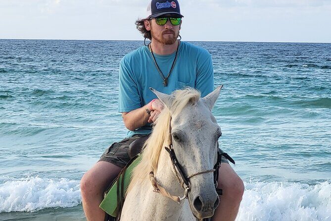 Jungle and Beach Horse Ridding round trip transportatin. - Why This Tour Delivers Value