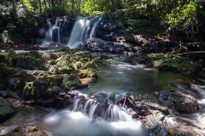 Jungle and Waterfall Adventure - Who Should Consider This Tour?