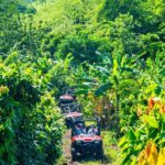 Jungle Buggies + Ziplines Adventures - Logistics and Practical Details