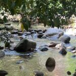 Jungle Cascade Adventure - What To Expect and Practical Tips