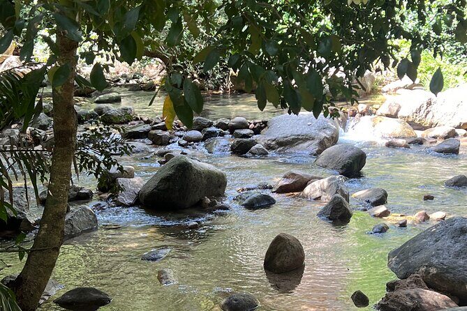 Jungle Cascade Adventure - What To Expect and Practical Tips