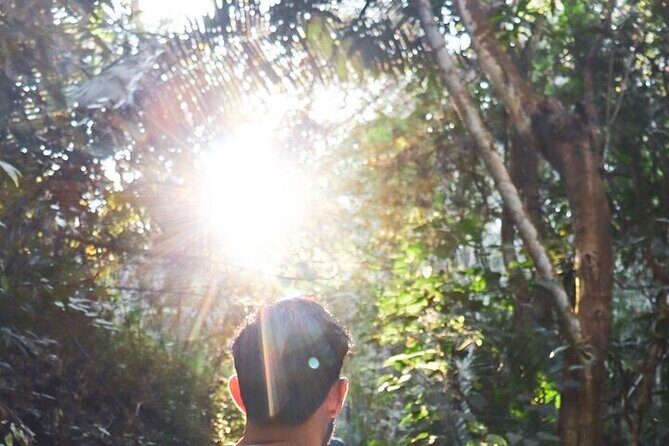 Jungle Hiking Adventure and Waterfall Swim. Nogalito Ecopark - The Experience’s Strengths Based on Reviews