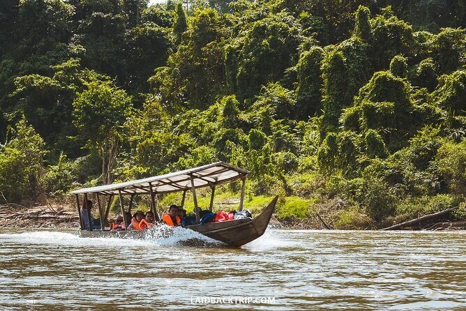 Jungle Odyssey: Unleash Your Adventure in Taman Negara! - The Sum Up
