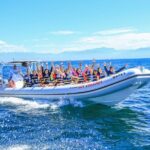 Jungle & River Zipline Tour  Choose Boat or Van Ride - Transportation and Duration: How It Fits Into Your Day