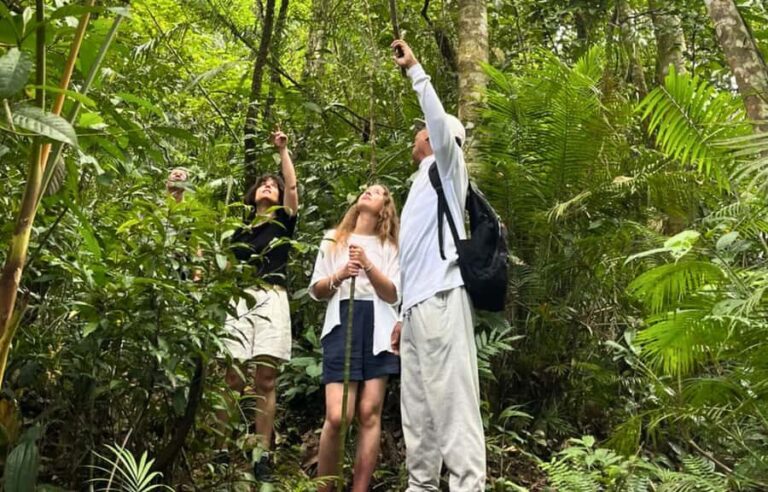 Jungle Trekking at Mt. Batukaru, scenic Waterfall & village - What Makes This Tour Stand Out?