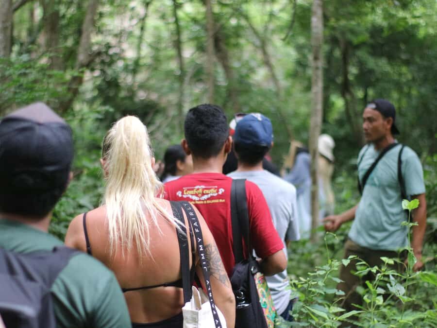 Jungle Trekking West Bali National Park - Why This Tour Is Worth Considering