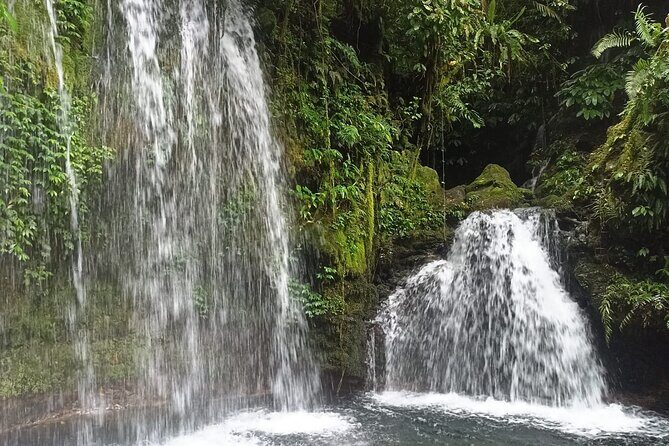 Jungle Trekking With Jatiluwih Unesco Heritage Site in Tabanan - The Value of This Tour