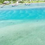 Jupiter Clear Kayak Guided Tour - Detailed Breakdown of the Experience